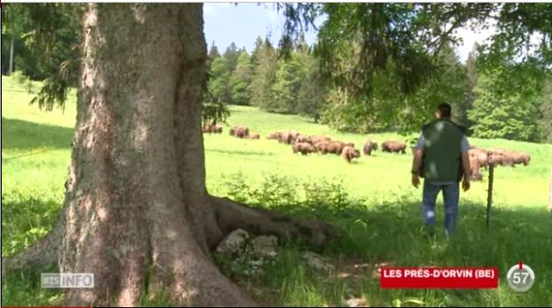 | Bison Ranch